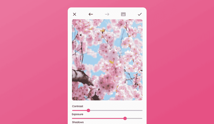 Photo Editing App Template | Photo Editor UI Design | Uizard