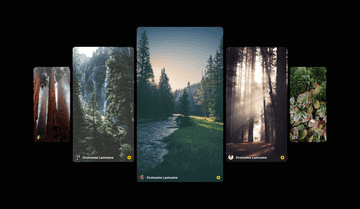Gallery Components | Gallery UI Design | Uizard