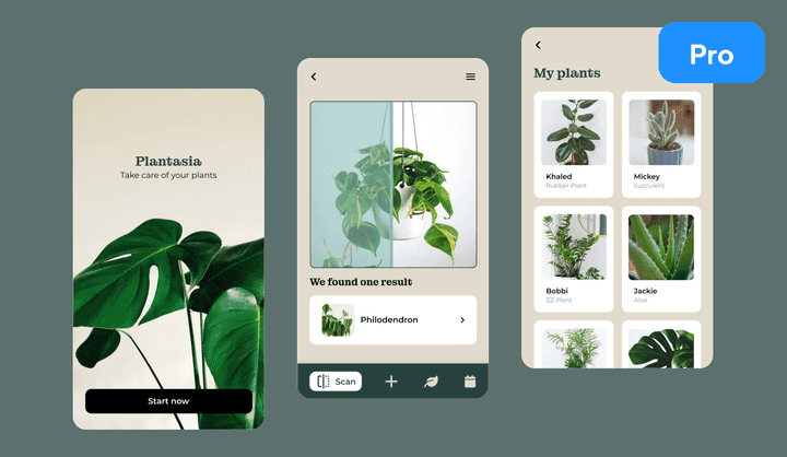 Plant Care App Template | Plant App UI Design | Uizard