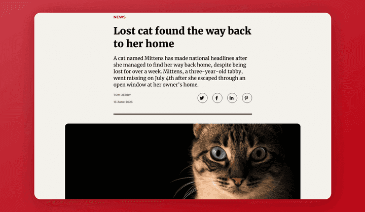News Web App Template | News Web App UI Design | Uizard